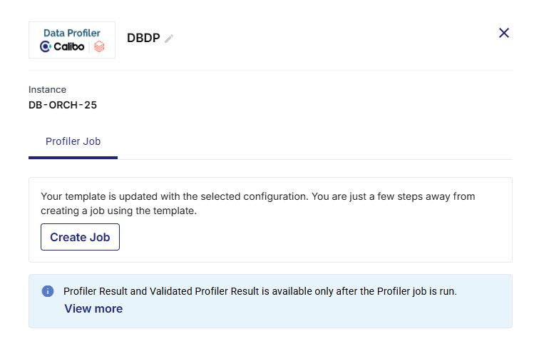 Databricks Data Profiler
